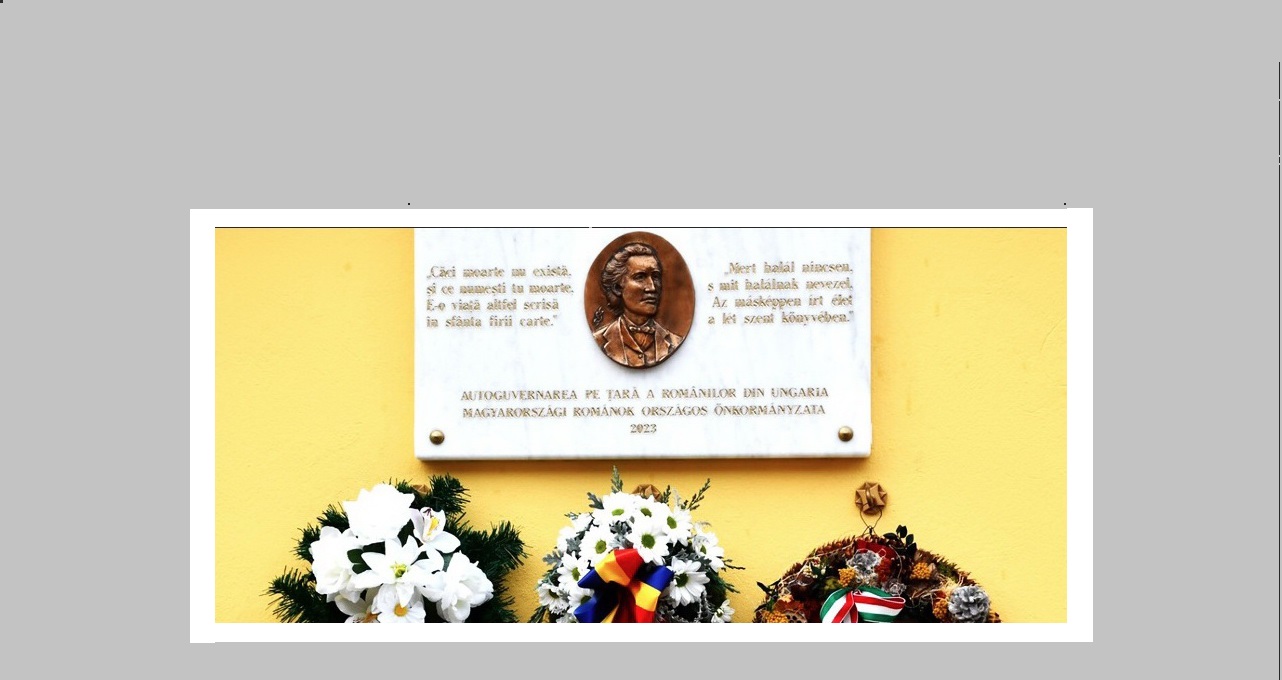 Dr. Gabriela Elekes în dialog cu jurnalista Eva Șimon despre ...